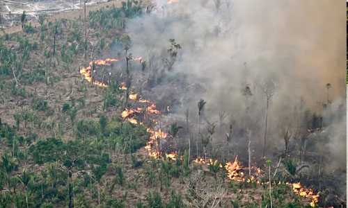 La Amazonia en peligro por incendios en Brasil » QuieroTv